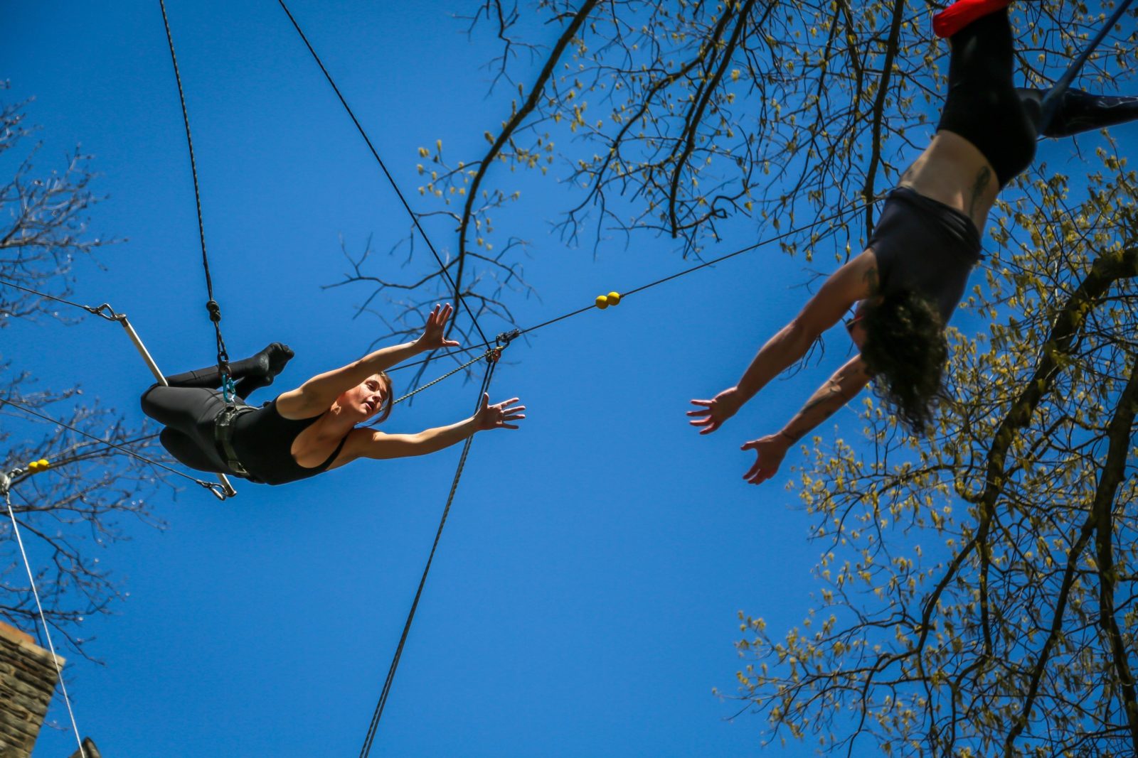 Home - Philadelphia School of Circus Arts